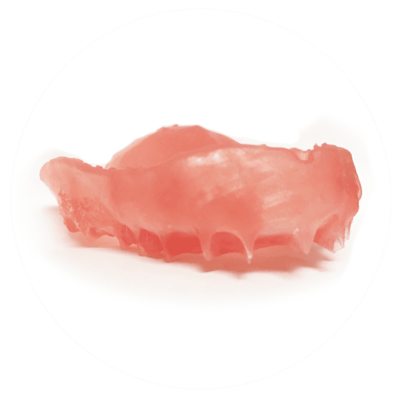 dima print Denture Base Material 1kg bottle - Silcox Dental Supply