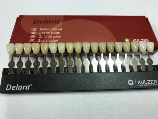 Delara Shade Guide - Silcox Dental Supply